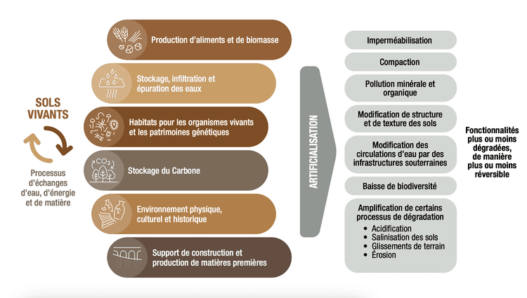 Zéro Artificialisation Nette : décryptage des enjeux