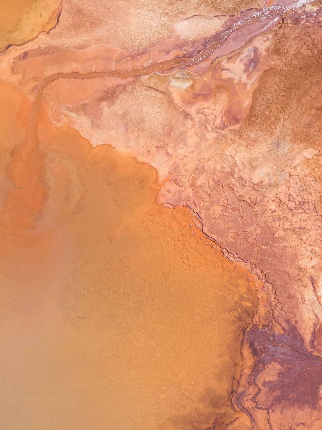 Carbone 4 - Précision et ambition climatique